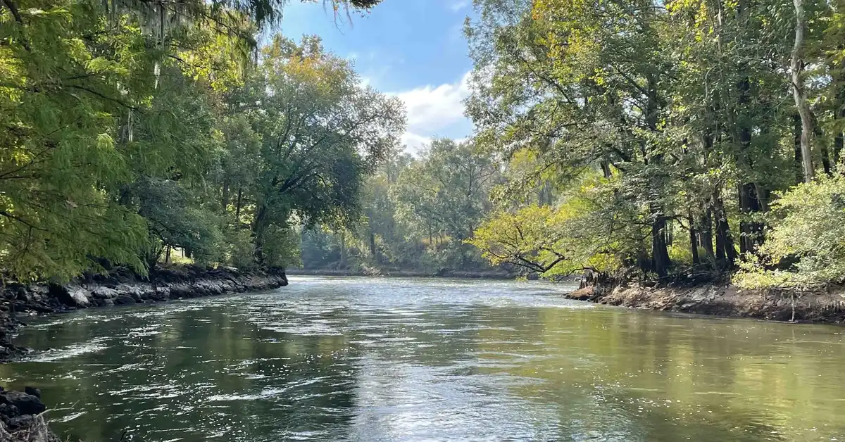Circle C Farms Flint River - Southeastern Farm Brokers