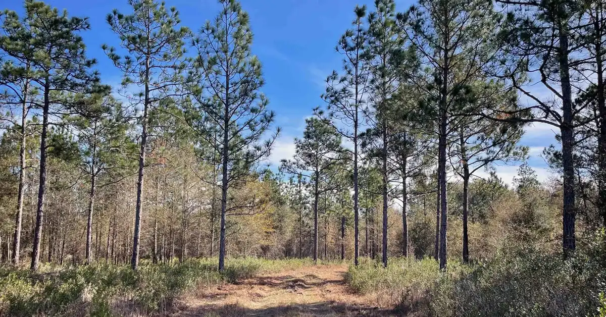 Circle R Ranch - 3 C's Farm - Southeastern Farm Brokers