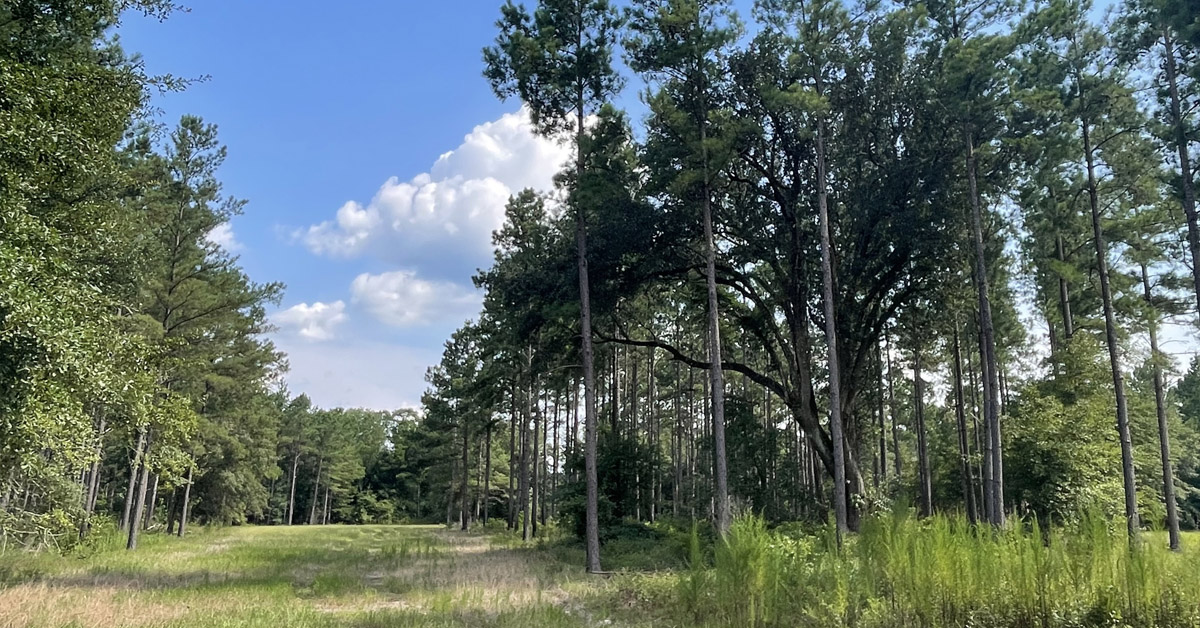 The Duck - Southeastern Farm Brokers