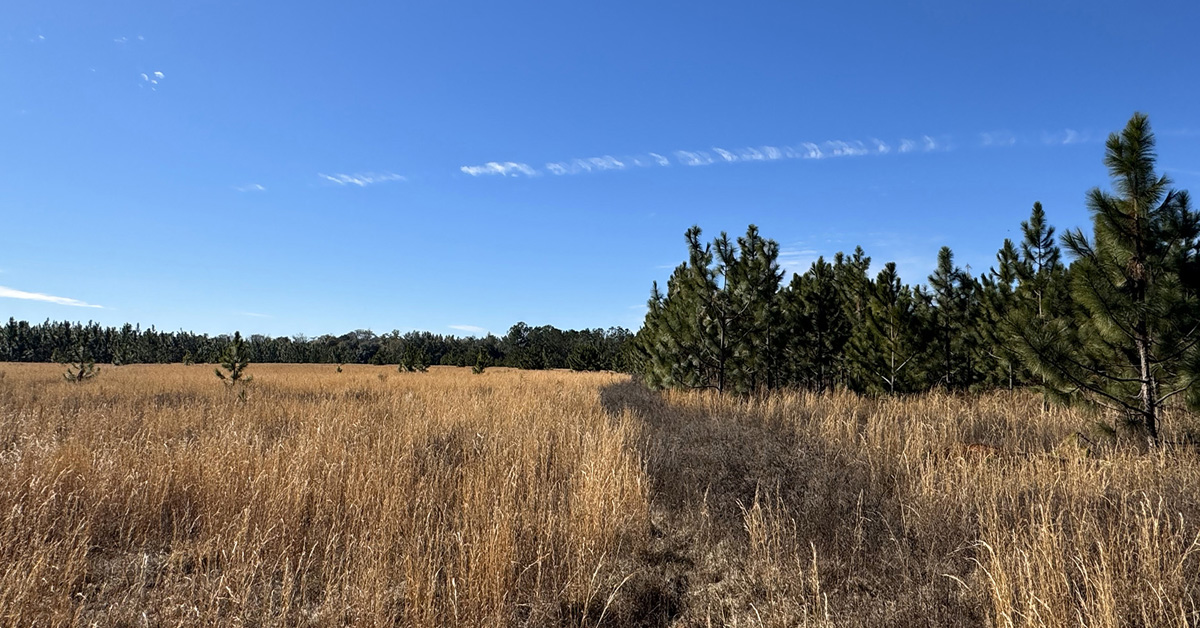 Faircloth Holdings - Southeastern Farm Brokers